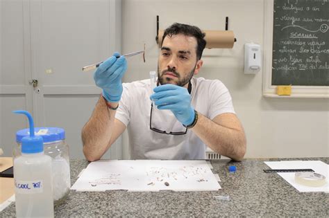 A Deadly Parasite Turns Jaguar Conservation Into A Human Health Priority