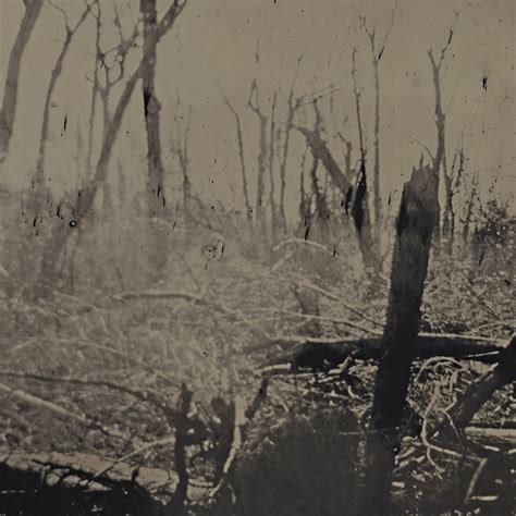 Great Dismal Swamp Wildfire