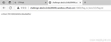 Ctfhub 技能树 Web 信息泄露ctfhub技能树 Csdn博客