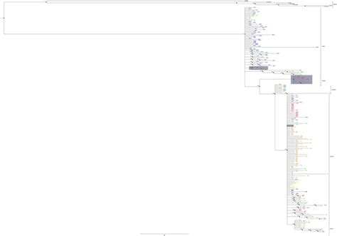 phylogenetic tree of bd its1 5 8s rrna its2 haplotypes based on