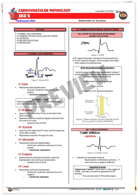 Cardiovascular Ekgs Notes Ninjanerd Medicine