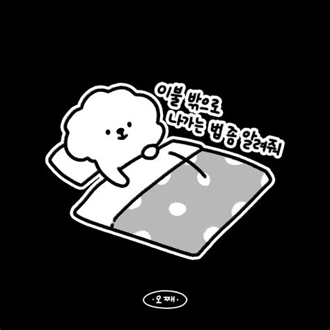 오째 Ozze 달콤한 휴일 이불 밖은 위험해😣 Instagram 오째 Ozze 달콤한 휴일 이불 밖은 위험해😣 Instagram