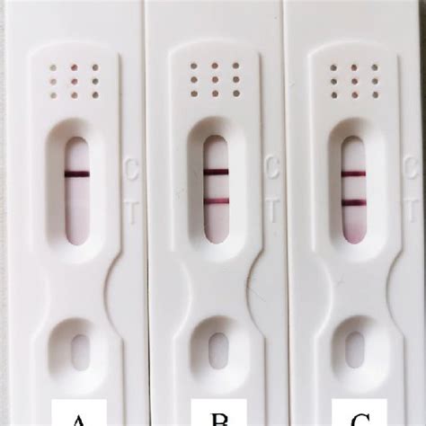 Diagnostic Performance Of Rapid Immunochromatography Test To Download Scientific Diagram