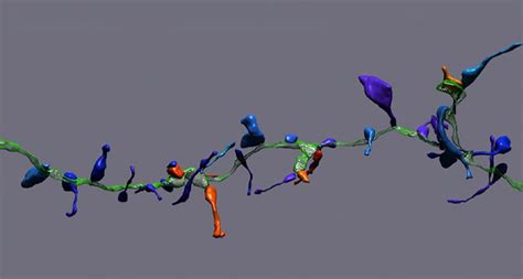 Essentials Of Deep Learning Visualizing Convolutional Neural Networks