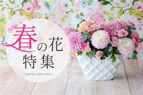 花・フラワーギフト Hanahiro｜online Shop