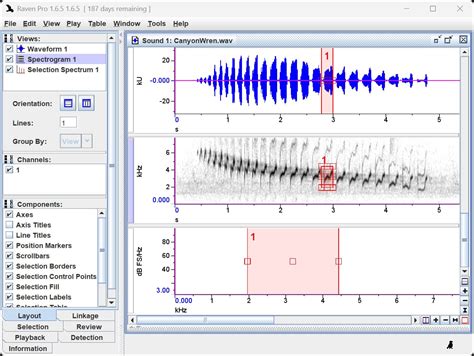 Selection Spectrum And Spectrogram Slice Views Appear Blank Cornell