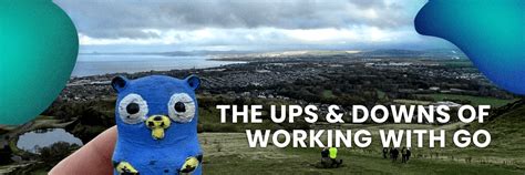 The Ups Downs Of Working With Go Dyrector Io
