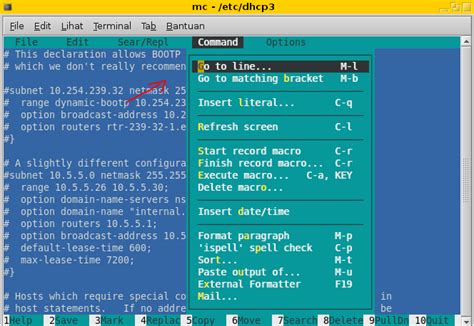 Langkah Konfigurasi DHCP Server Di Linux Debian 5 Dengan VMware Berbage Ilmu Tutorial