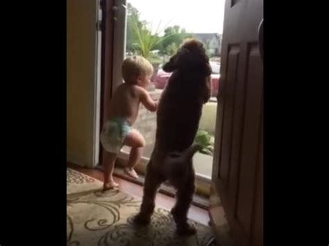 Papa Kommt Nach Hause Hund Und Kleinkind Freuen Sich