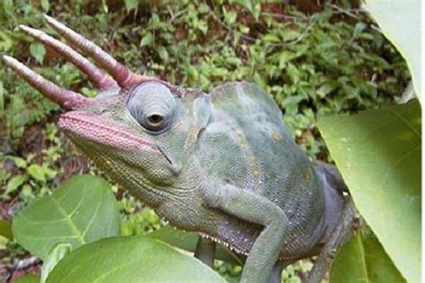 2024 2 Days 1 Night Nilo Nature Reserve The Best Of Nature Lovers