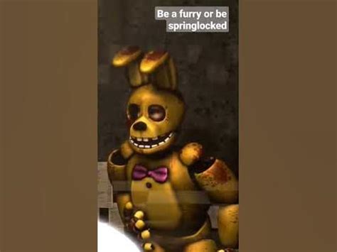 Be A Furry Or Get Springlocked Youtube