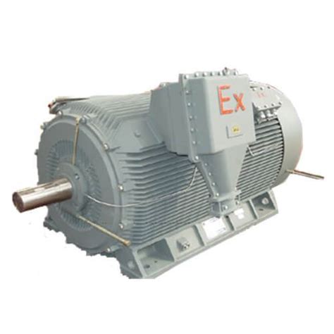 Elom Ybbp Variable Frequency Explosion Proof Moto