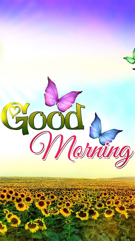 Top 999 Good Morning Butterfly Images Amazing Collection Good