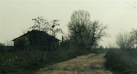 картинки пейзаж дерево природа трава туман поле утро холм Сельская местность