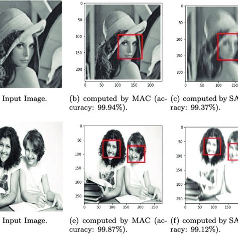 Face Detection By MT CNN Model Download Scientific Diagram