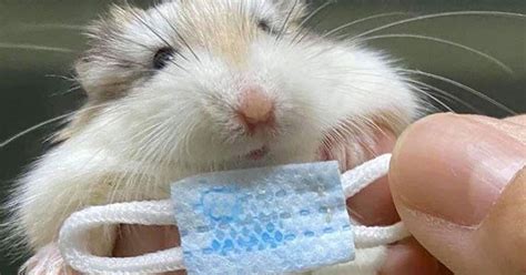 how to write a quantum program in 10 lines of code for beginners by dave yen rigetti medium