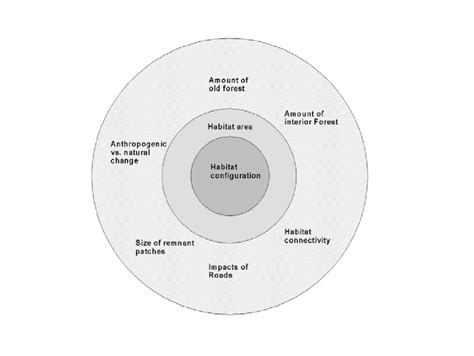 Conceptual Model Of The Definition Of Fragmentation In The Literature Download Scientific