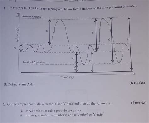 Solved Identify A To H On The Graph Spirogram Below Chegg Com