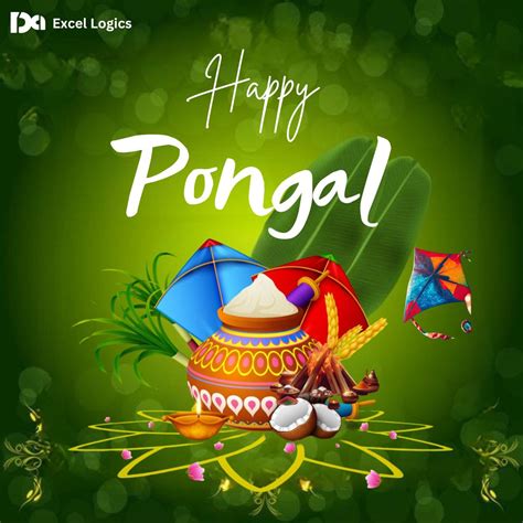excel logics on linkedin happypongal excellogics professionalgrowth harvestfestival…