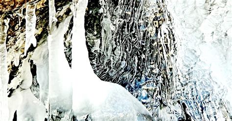 [포토친구] 봄의 소리