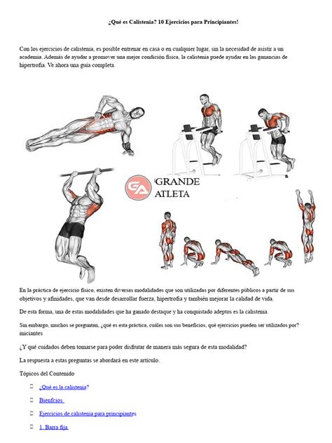 10 Ejercicios De Calistenia Para Iniciantes Pdf Aptitud Física