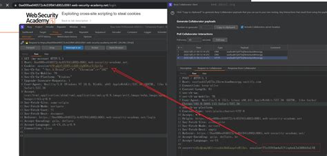 portswigger xss lab 跨站脚本漏洞利用靶场 雨苁ℒ