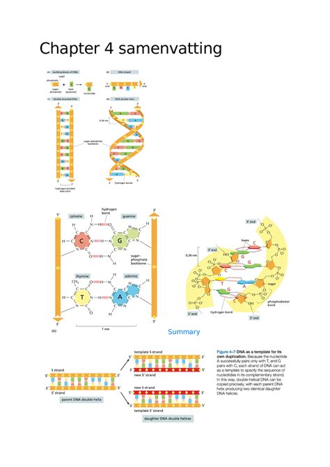 Chapter 4 Samenvatting Chapter 4 Samenvatting Summary Genetic Information Is Carried In The