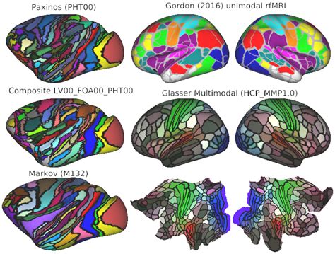 Figure 3 C D Macaque And Human Cortical Parcellations