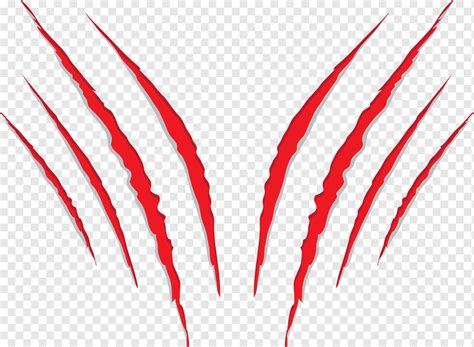 Free Cat Scratch Vector Download In Illustrator EPS SVG OFF