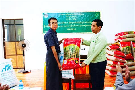 သံတွဲမြို့၌ မျိုးစေ့ထုတ် စံပြစိုက်ကွက် စမ်းသပ်စိုက်ပျိုးမည့် တောင်သူများအား Rs မျိုးစပါးနှင့