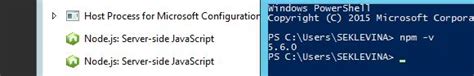 Nodejs Processes Dose Not Close Down After A Npm Command Is Done · Issue 19756 · Npmnpm · Github