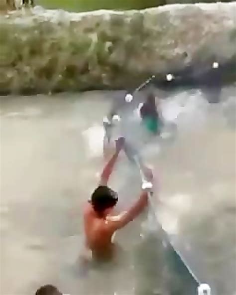 صید شدن صید نکردن