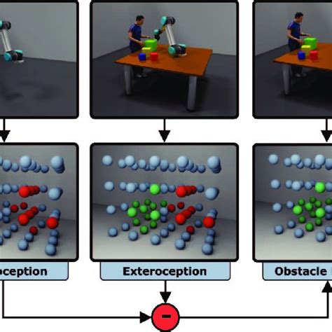 The Systems Main Components Proprioception Exteroception And The Download Scientific Diagram