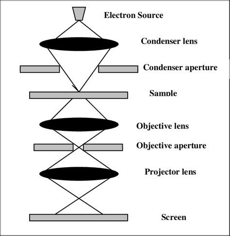 Transmission Electron Microscope Engineering Physics At Imogen Parry Okeden Blog