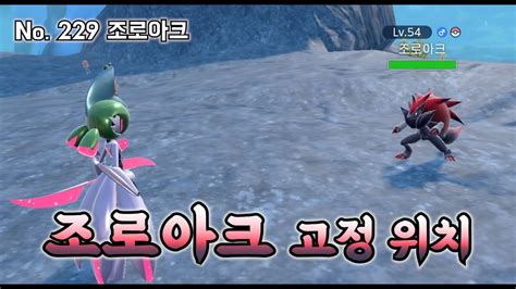 조로아크 위치 및 잡는 방법 변신 중 고정 심볼 Youtube