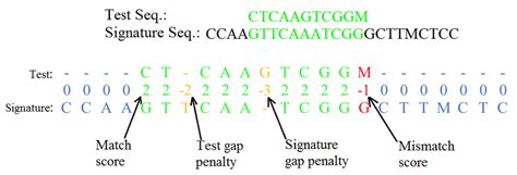 An Alignment Example Using Sga Algorithm Download Scientific Diagram