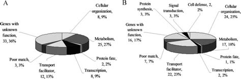 Functional Categories Analysis Of Cdna Sequences Represented In A The Download Scientific