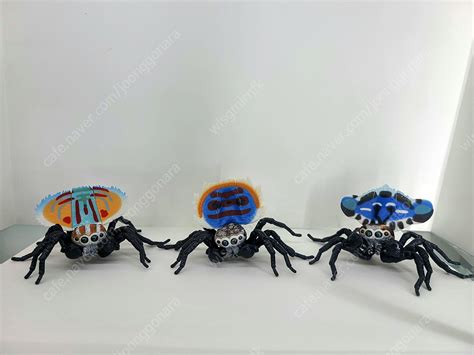 반다이 생물대도감 공작 거미 피콕 스파이더 시리즈 3종 피규어브릭 중고나라