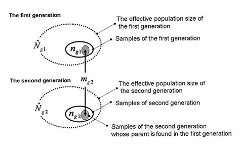 The Concept Of The MMR Method Download Scientific Diagram