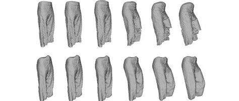 Comparison Between A Frame By Frame Multi View Stereovision Approach