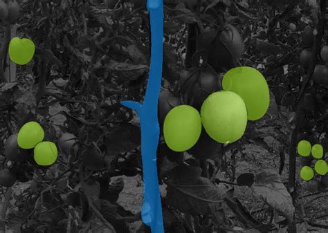 Polygon Annotation Services Outsourcing For Computer Vision