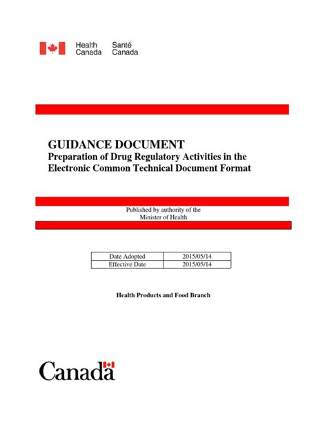 Prepectdformat Engpdf Business