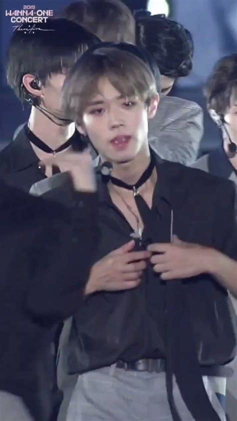 Pin On 곰돌이 인형