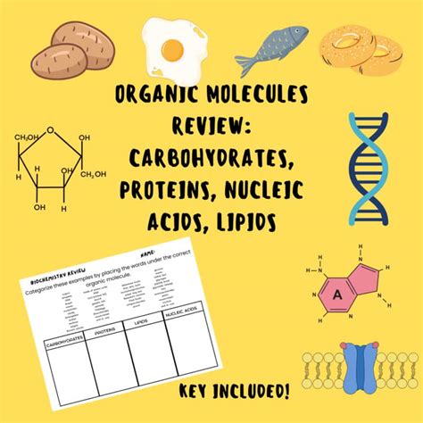 Review Organic Molecules By Head Over Heels For Science Tpt