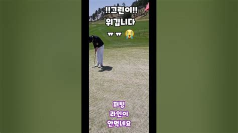 그린이 완전 썩었습니다 돌봐모래로 팡팡 튀네요위깁니다 ㅠㅠ 😭퍼팅라인이 아예않먹네요필드골프퍼터퍼팅골프골프레슨쇼츠shorts Youtube