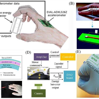 A Schematic Diagram Of The Handshaking Vibration Setup For The Download Scientific Diagram