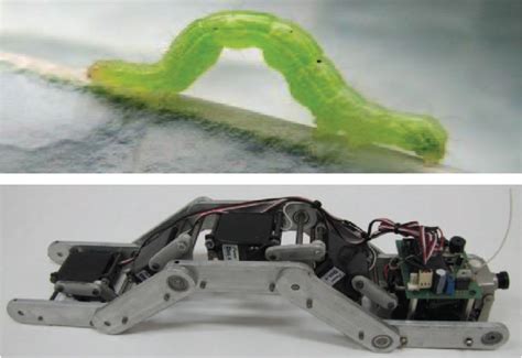 Figure 1 From Design And Fabrication Of A Worm Robot Prototype Semantic Scholar