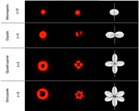 Degenerate Electric Multipole Modes It Shows How Orbital Angular Download Scientific Diagram