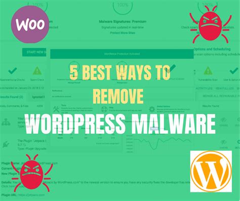5 Best Ways To Remove Wordpress Malware A Comprehensive Guide By