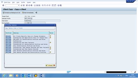 Local Client Copy Step By Step Process SAP Community
